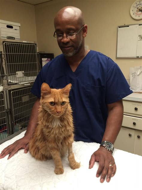 Durham Nc Hospital Tour Triangle Veterinary Hospital