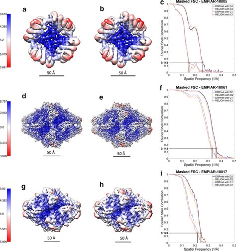 Single Particle Analysis 3d Reconstruction Outcomes Left And Middle Download Scientific