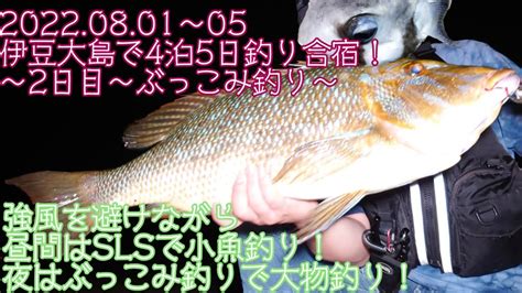 伊豆大島でぶっこみ釣り合宿4泊5日2日目 2022 8 15 YouTube