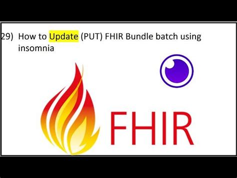 29 How To Update Put Fhir Bundle Batch Using Insomnia Rohit Gundu