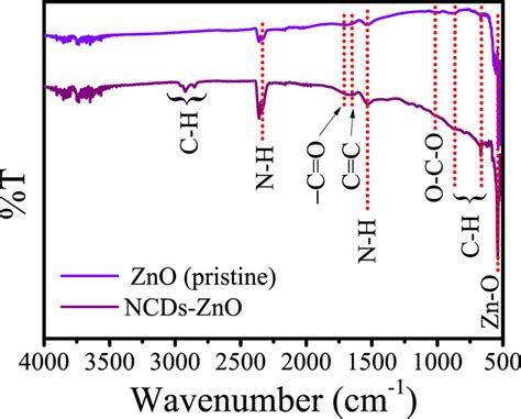 Ftir Spectra Of The Pristine And Ncds Zno Hybrid Nanostructures Download Scientific Diagram