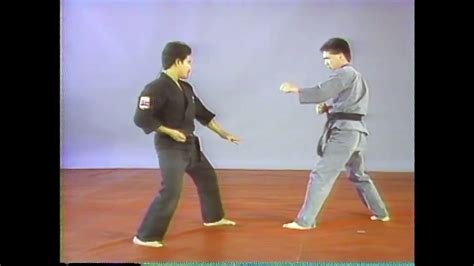 Mastering Lima Lama Volume 1 Fundamental Lima Lama Techniques With