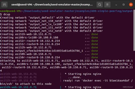Seed Emulator之配置docker和互联网模拟器dcbuild Csdn博客