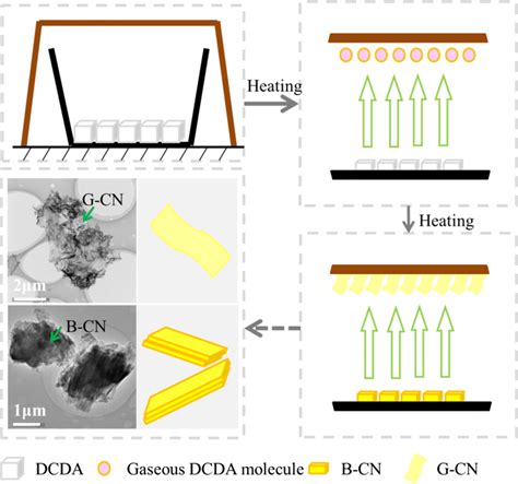 Schematic Illustration For The Fabrication Of B Cn And G Cn Download