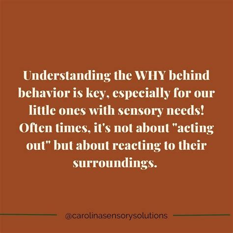 Sensory Processing Evaluation — Carolina Sensory Solutions