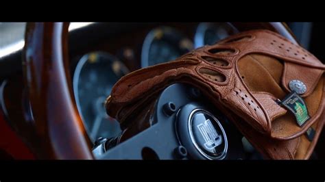 Alpa Gloves 1.