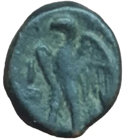 PTOLEMAIC KINGDOM PTOLEMY Eagle Club Ancient Greek Bronze Coin