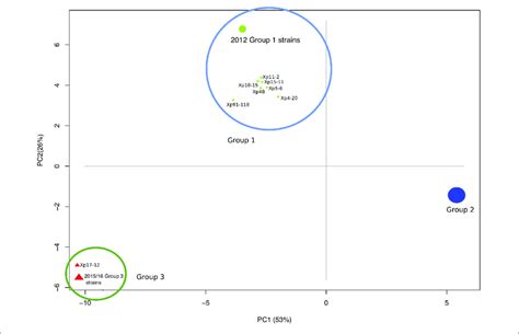 Principal Component Analysis Showing Three Distinct Clusters Of X