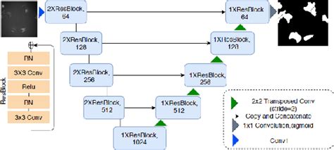 Figure 1 From Deep Learning Based Segmentation Pipeline For Label Free Phase Contrast Microscopy