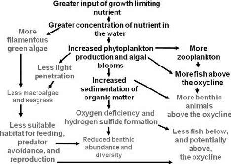 Schematic Representation Of The Cascading Effects Of Increasing