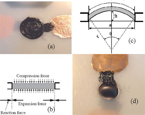 Figure 1 From Application Of Dielectric Elastomer Planar Actuators In A