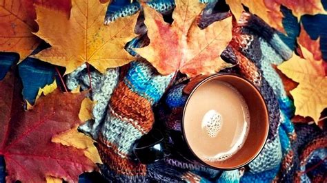 Pin By Ady Gómez Cárdenas On Fondos Walls And Patterns Autumn Cozy
