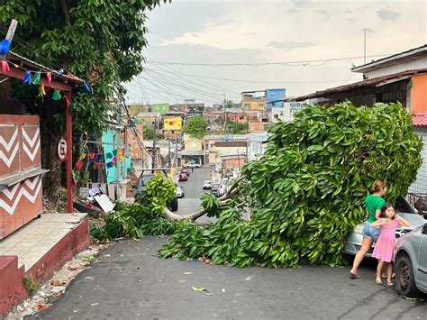 Vendaval derruba tronco de árvore em cima de carro e bloqueia rua em Manaus