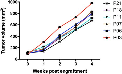Tumor Growth Of Human NSCLC Xenografts Tumor Volumes Of NSCLC