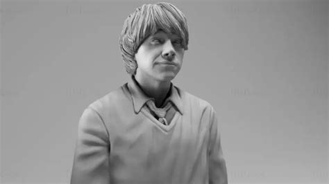 Ron Weasley Harry Potter 3d Printing Model