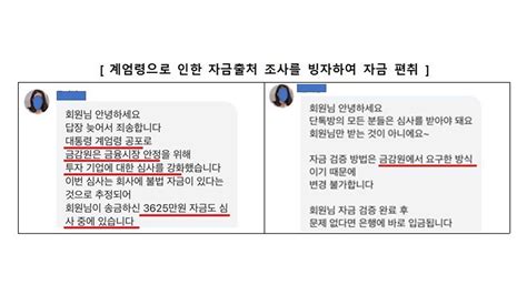 계엄령으로 자금출처 조사 중 불법 리딩방 사기 기승
