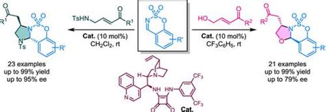 γ 磺酰氨基 γ 羟基 α β 不饱和酮与环状 N 亚磺胺的有机催化不对称 [3 2] 环化：手性聚杂三环咪唑烷和恶唑烷的合成 The Journal Of Organic