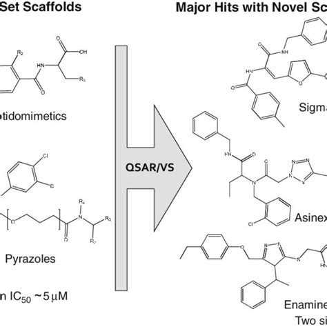 3 Application Of Predictive QSAR Workflow Including Virtual Screening