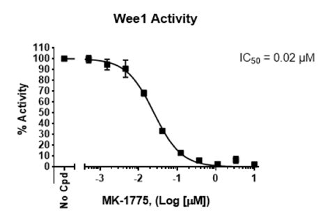 Chemi Verse™ Wee1 Kinase Assay Kit