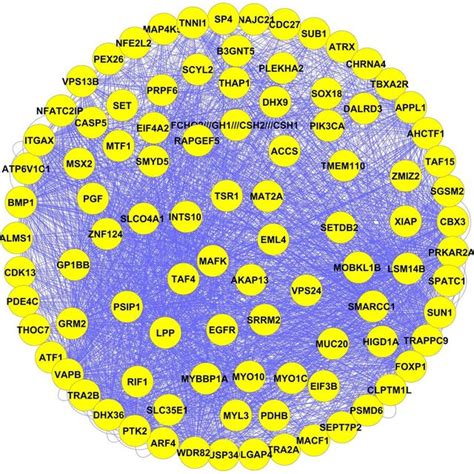 Gain And Loss Comparison Obtained From Cgh And Cgh Array Analysis In