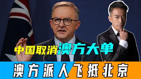中国取消澳方大单后，不到24小时，澳停征对华关税，派人飞抵北京凤凰网视频凤凰网