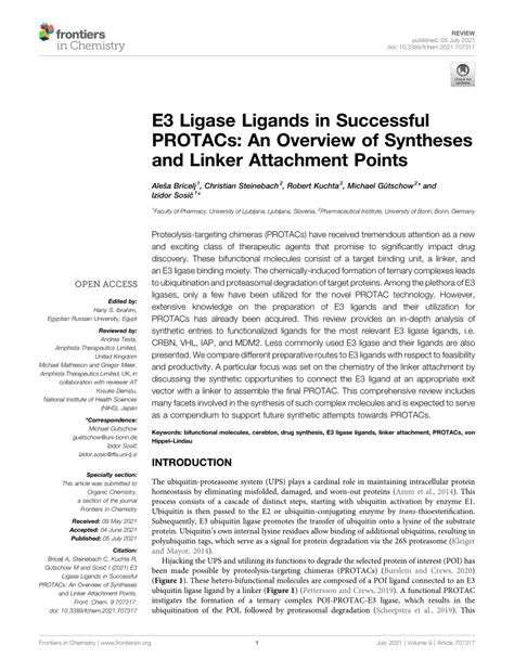 Pdf E3 Ligase Ligands In Successful Protacs An Overview Of Syntheses
