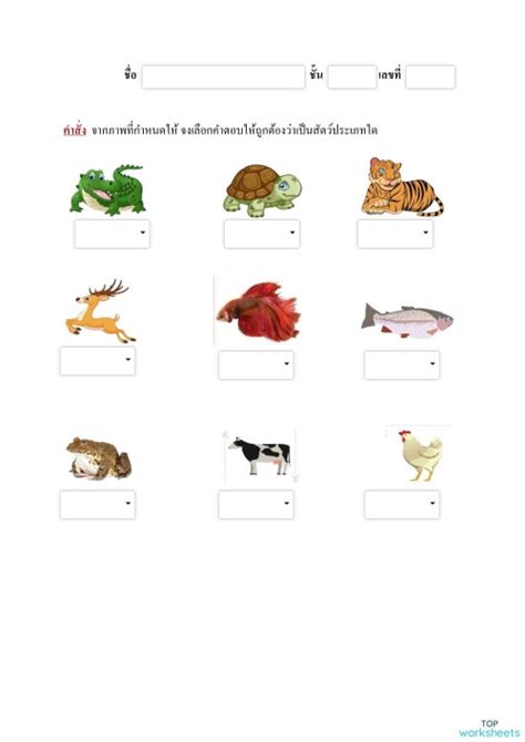 ใบงานแบบdropdown ใบงานเชิงโต้ตอบ Topworksheets