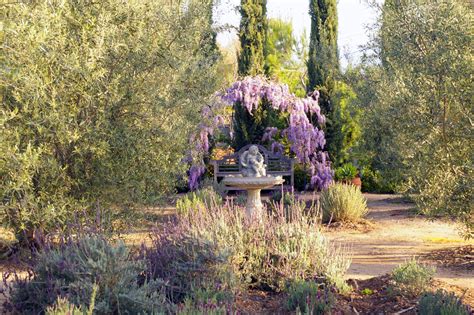 Arlington Garden Pasadena Images Fasci Garden