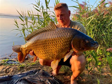 Kapr obecný | FishMax.cz