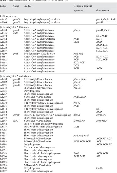 Table 1 From Ralstonia Eutropha Strain H16 As Model Organism For Pha