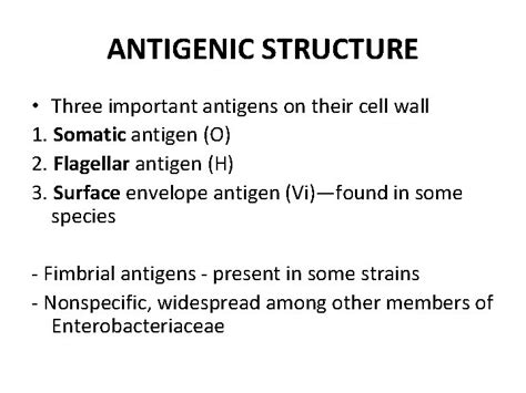 Salmonella Enteric Fever Dr Mohit Bhatia Assistant Professor