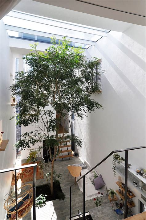 木とともに暮らす屋内で自然を感じる“広場”のある家 グリーン建築 家 室内ガーデン