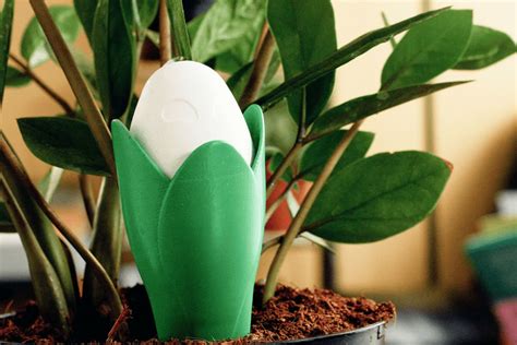 Flora Sense Flora Pod Sensor Asweatlife