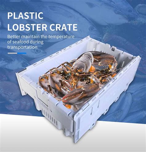 Wholesale Vented Mesh Stackable Pp Crab Storage Seafood Plastic Lobster Crates For Sale Wholesale Vented Mesh Stackable Pp Crab Storage Seafood Plastic Lobster Crates For Sale