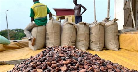 Ghanas Non Traditional Exports Records 29 Billion In 2019 Myjoyonline