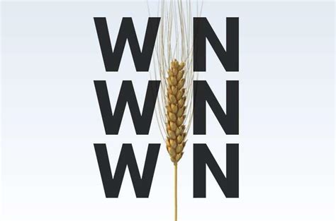 How Sweet Potato And Maize Can Benefit Farmers Hector H Hernandez Posted On The Topic Linkedin