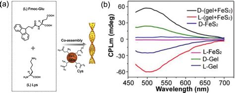Regulation Of Circularly Polarized Luminescence In Multicomponent Supramolecular Coassemblies