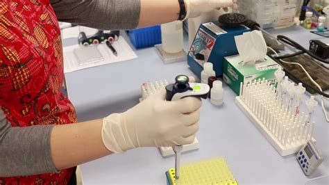 Resources Arbor Assays