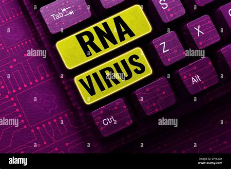Text Showing Inspiration Rna Virus Business Approach A Virus Genetic Information Is Stored In