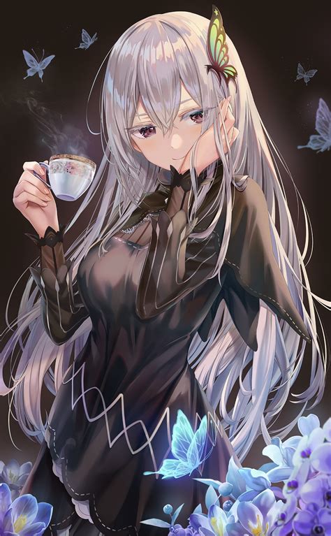 Echidna Rezero Rsilverhair