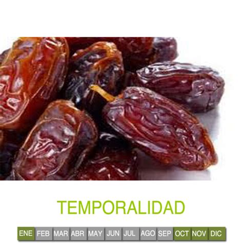 Dátiles Vasaki Ibérica