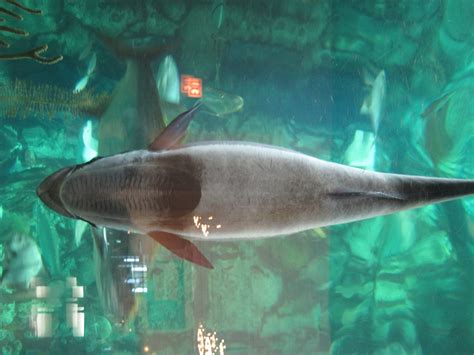 Commensalism Science