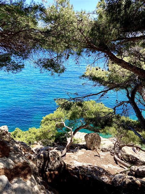 Calanque Du Port Miou Cassis France Artofit