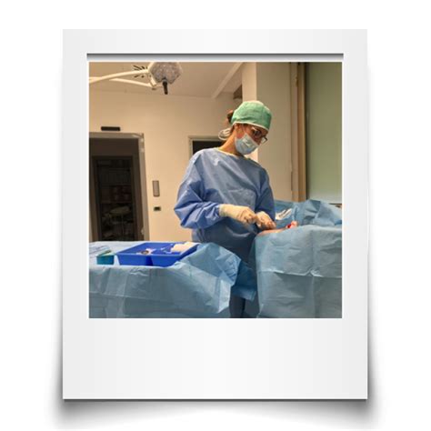 SIP 2 Protocol Making PICC Insertions Easier VascuFirst