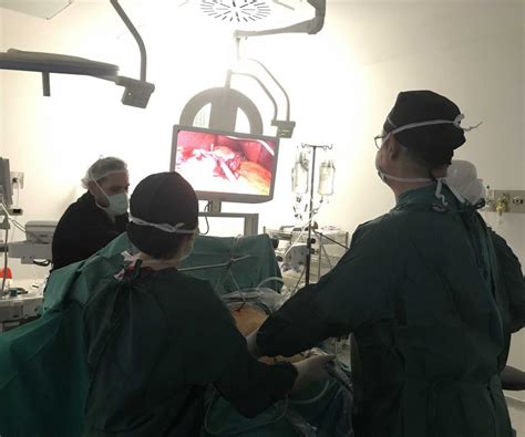 Kolon Kanseri Nedir Prof Dr Mustafa Uygar Kalaycı