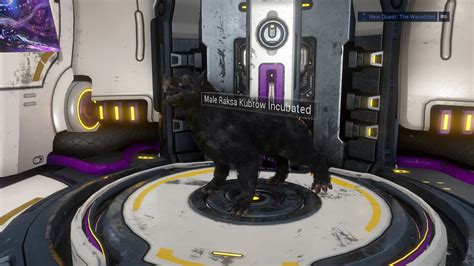 How To Get A Kubrow Collar In Warframe Gamepur