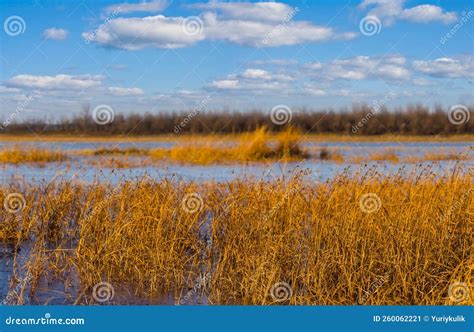 Lake Among Grass Prairie Under Cloudy Sky Stock Image Image Of Clouds