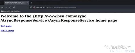 Weblogic Cve Cn Sec