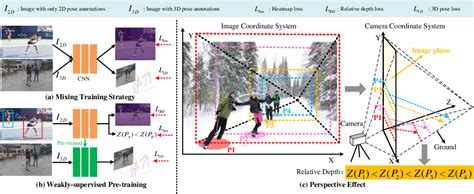 Figure 1 From Weakly Supervised Pre Training For 3d Human Pose Estimation Via Perspective