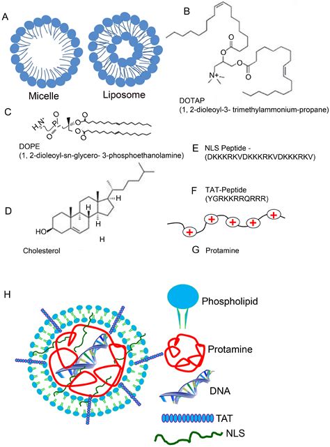 Lipid Nanoparticles For Ocular Gene Delivery